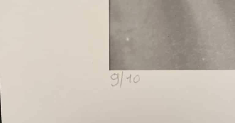 Philippe LEDRU - Photo - François Cevert - Autographes Manuscripta